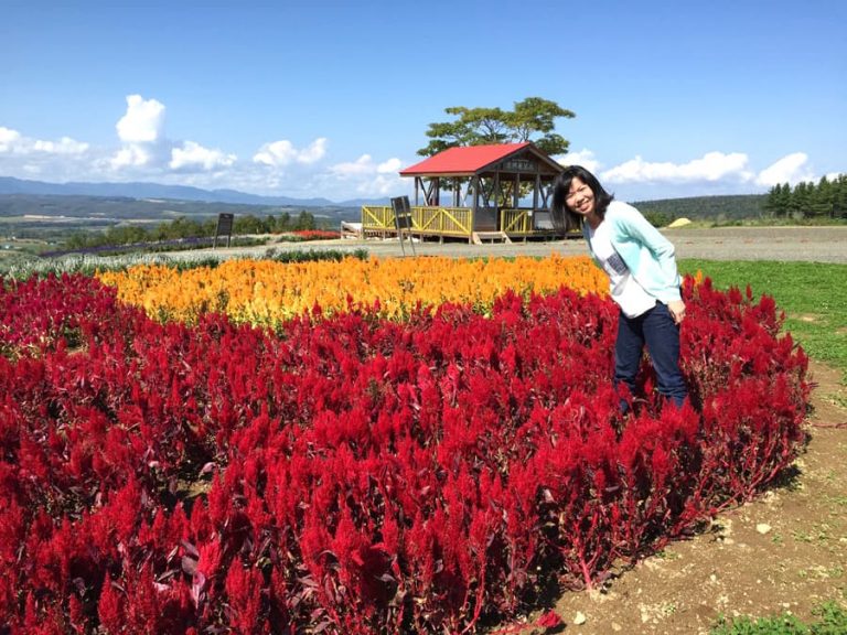 Rokugo Viewing Platform: Khu Vực Ngắm Cảnh đẹp Nhất Furano