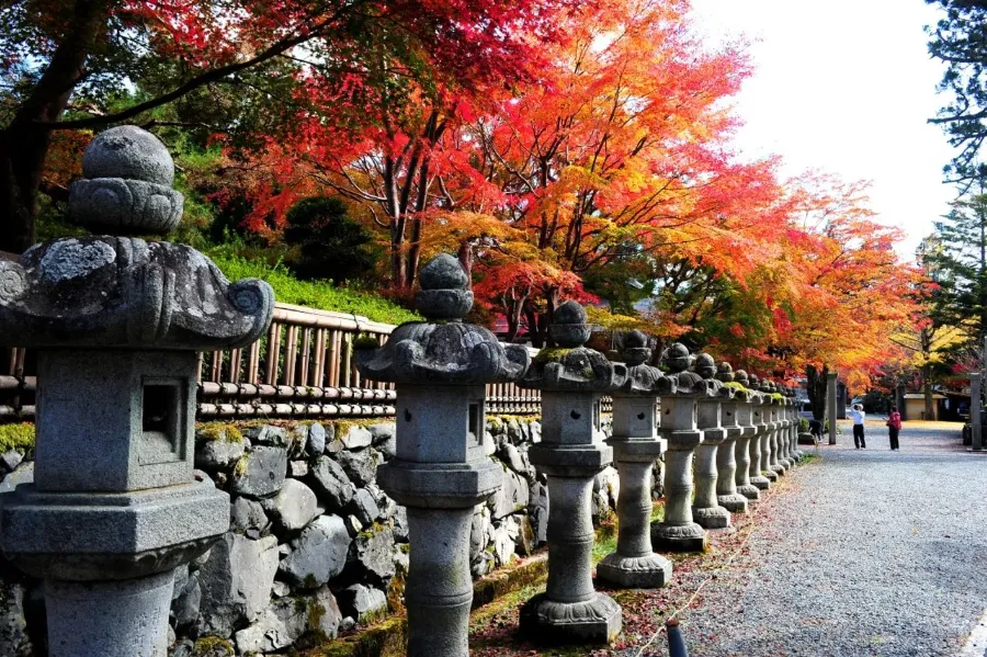 Koyasan: Đón Mùa Thu Tại Thánh địa Phật Giáo Nhật Bản
